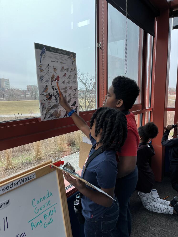 Feeder Watching in Conservation Classroom | Grange Insurance Audubon Center